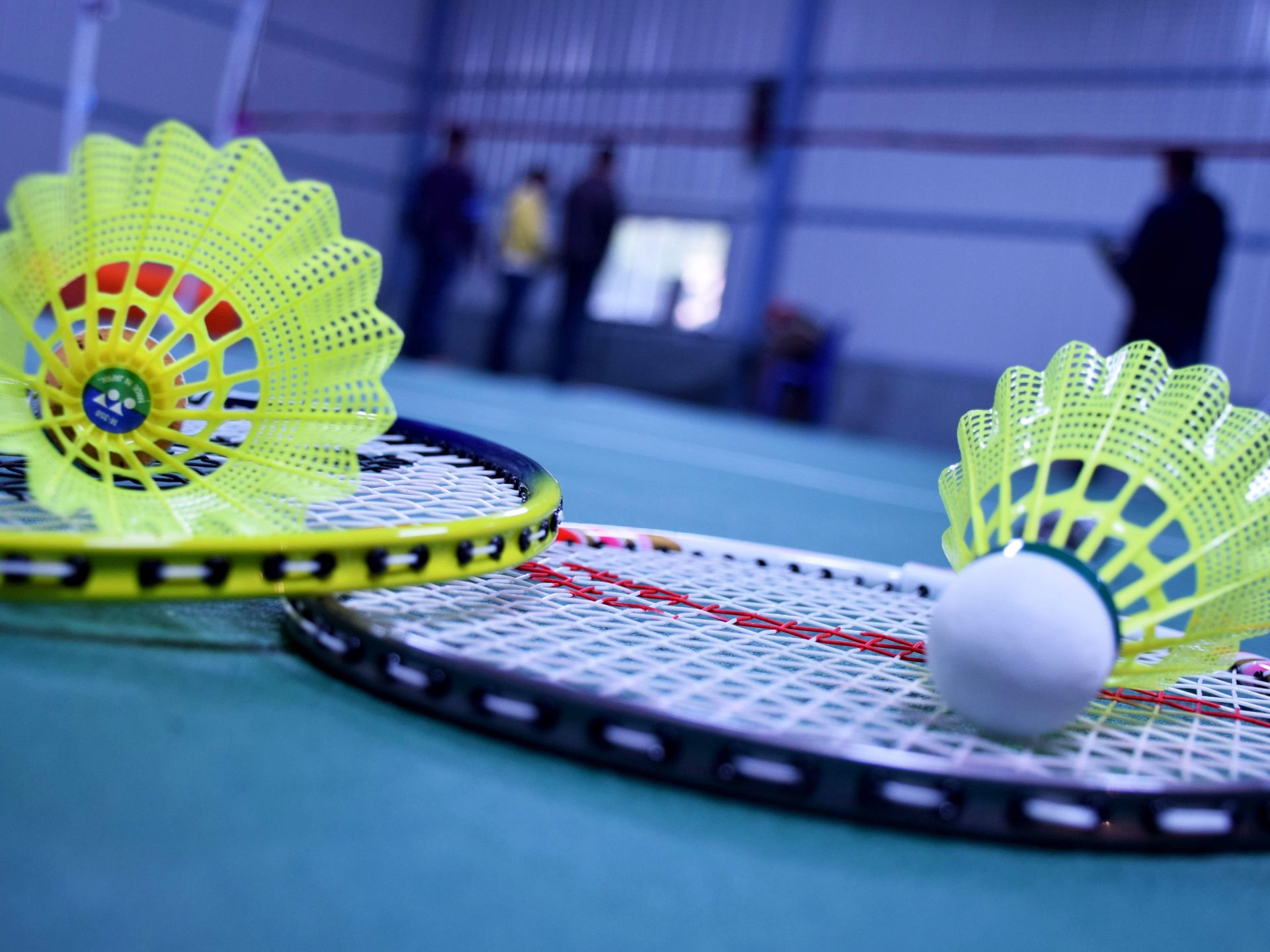 10 Best Badminton Strings for You | Playo