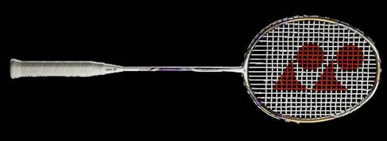 6 Best Badminton Racket Brands You Need to Know | Playo