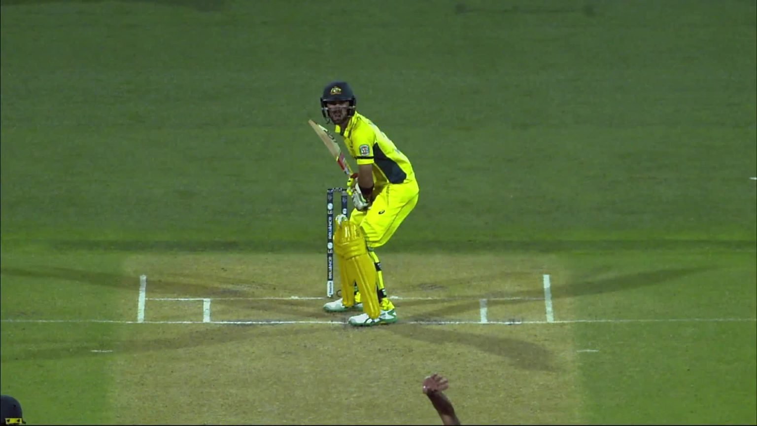 5 Cricket Shots That Every Beginner in the Squad Should Learn | Playo