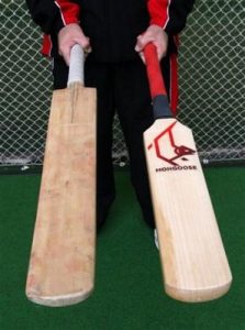The Mongoose Bat Mystery: Where Did It Go? | Playo