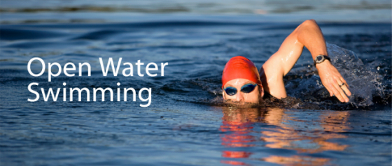 Open Water Swimming Excites You? Here's What You Must Know! | Playo