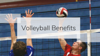 Here Are Few Amazing Benefits Of Playing Volleyball | Playo