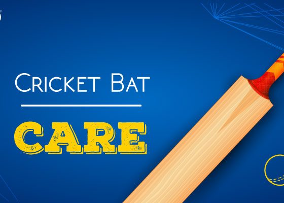 Box Cricket Rules That You Always Wanted To Know! | Playo